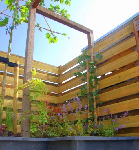 Erfafscheiding | Hoveniersbedrijf Kuiper